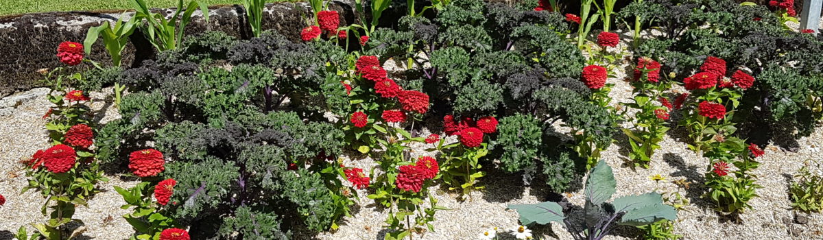 Mairie de Petit-Croix